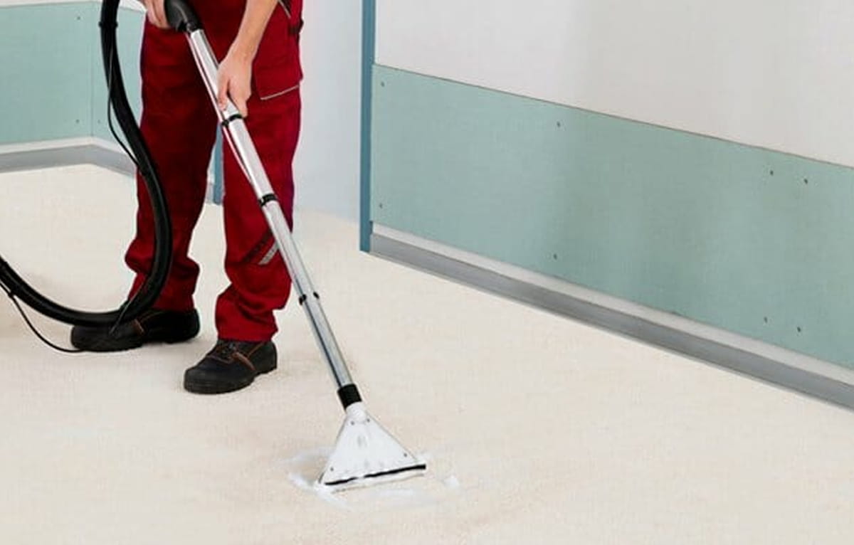 Professional Carpet Cleaning - Why It's Important for Your Home